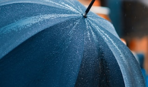 Home - Lighthouse Insurance Group